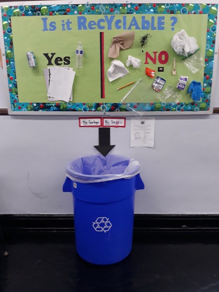 School Recycling Displays That Inspire Everyone to Recycle