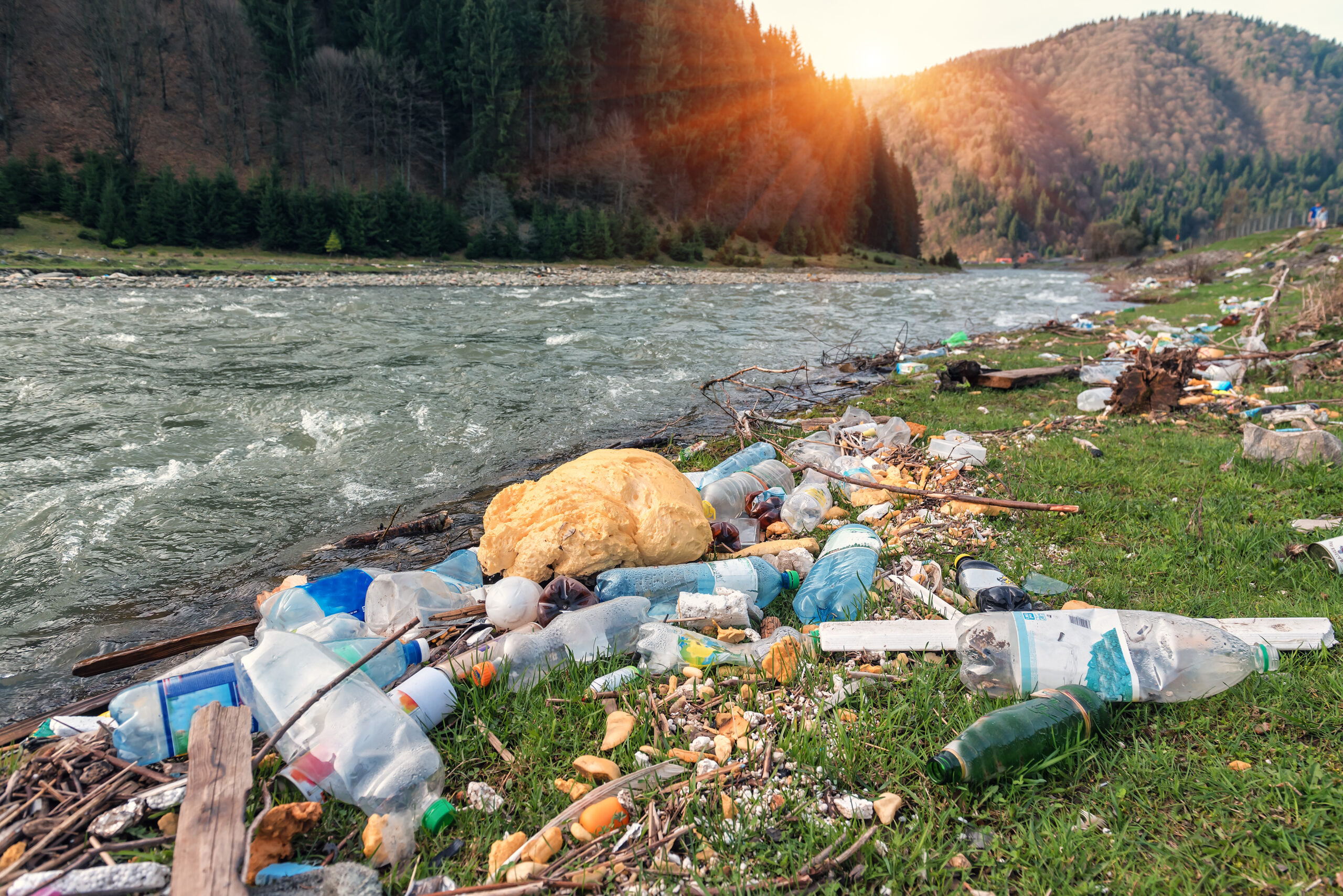 Ideas For Teaching Kids How Materials Decompose